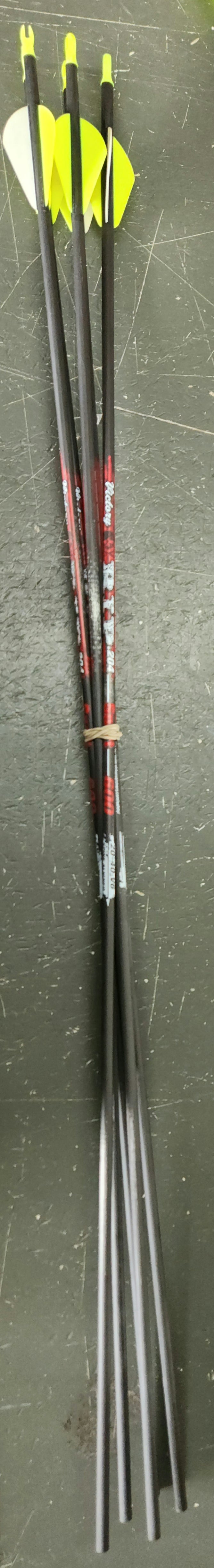 Victory RIP .204 Sport 5 arrows 600 spine 30.5"