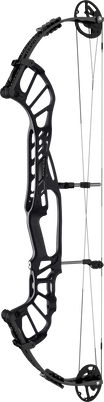 Hoyt