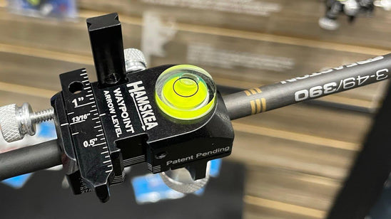 Hamskea Waypoint Arrow level